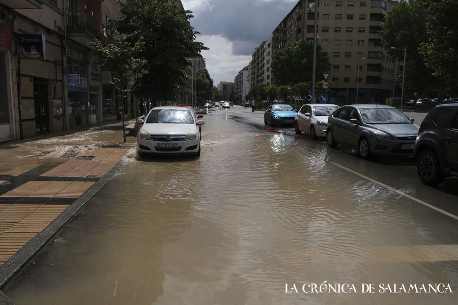 Galería de fotos del reventón en el Paseo de la Estación