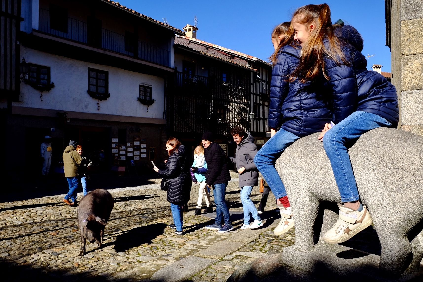 El fin solidario del marrano de San Antón - La Crónica de Salamanca