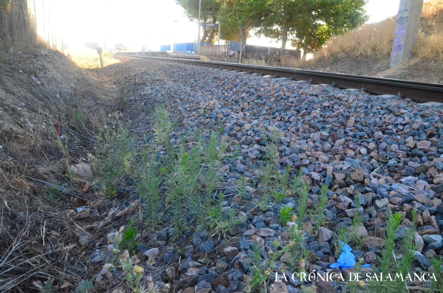 Galería de fotos | Dos personas mueren arrolladas por el tren en Moriscos